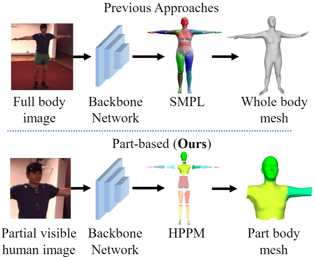 Divide and Fuse: Body Part Mesh Recovery from Partially Visible Human ...
